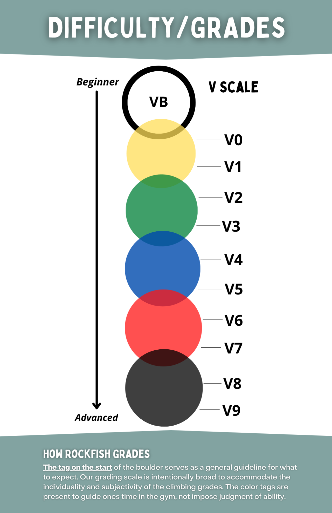 Getting Started | Rockfish Climbing & Fitness
